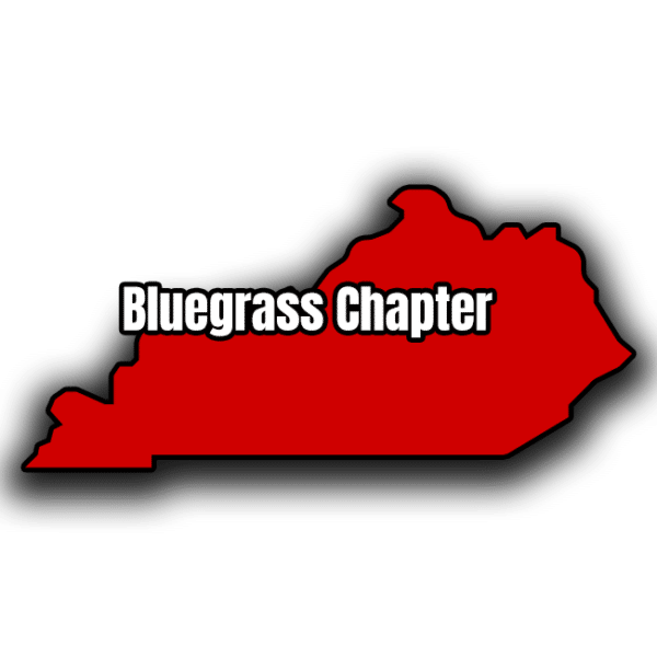 AEA Chapters: Building a Stronger Community - armyengineer.com